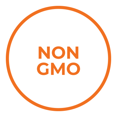 CLEAN ROOTS Plant-Powered Purity – Clean Roots